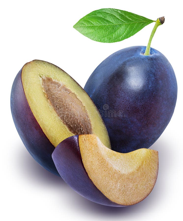 Blue Plum Isolated on White Background Stock Photo - Image of closeup ...