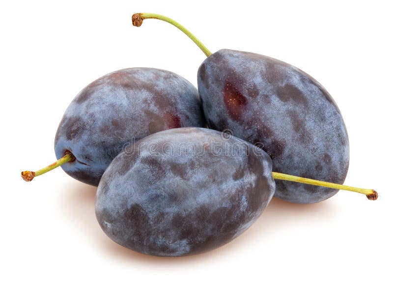Blue plum stock image. Image of nutrient, blue, vegetarian - 126019101