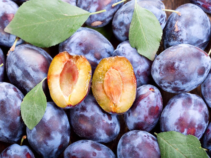 Blue Plums with Leaves in a Bowl on Wooden Table Stock Photo - Image of ...