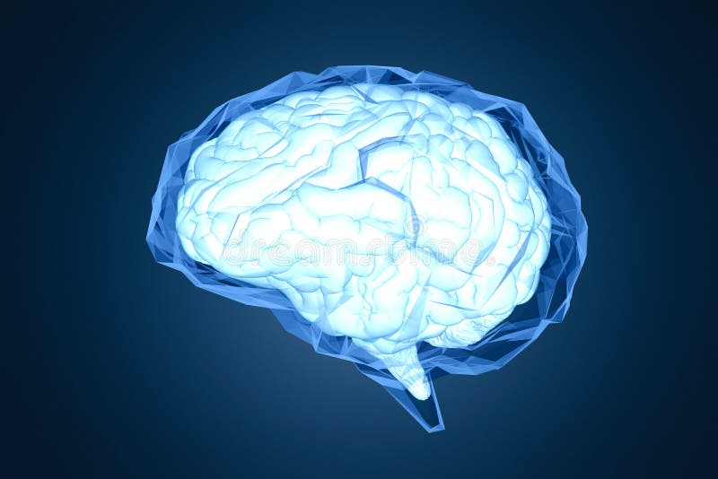 Blue polygonal brain stock illustration. Illustration of brain - 146171537