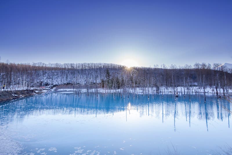 Blue Pond in Biei, Hokkaido, Japan Stock Photo - Image of countryside ...