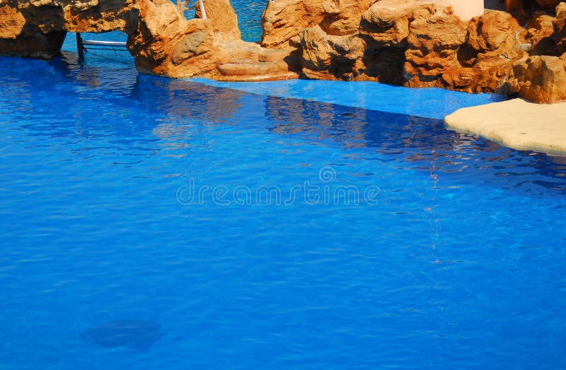 Blue Pool stock image. Image of palm, healthy, reflections - 946499