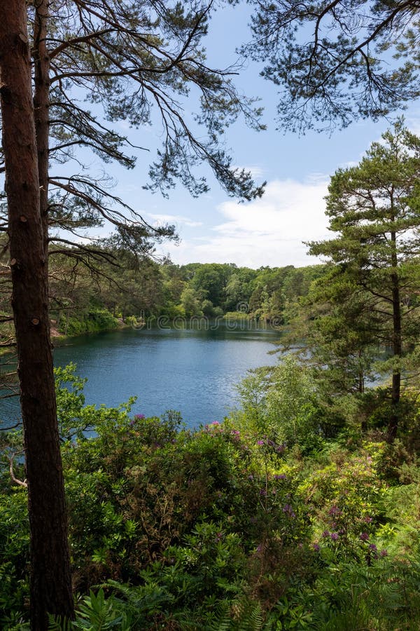 Blue pool in Dorset stock photo. Image of landscape - 346707762