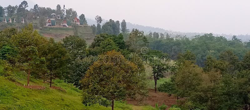 The Blue Pool at the Green Park of Wonosalam Stock Image - Image of ...