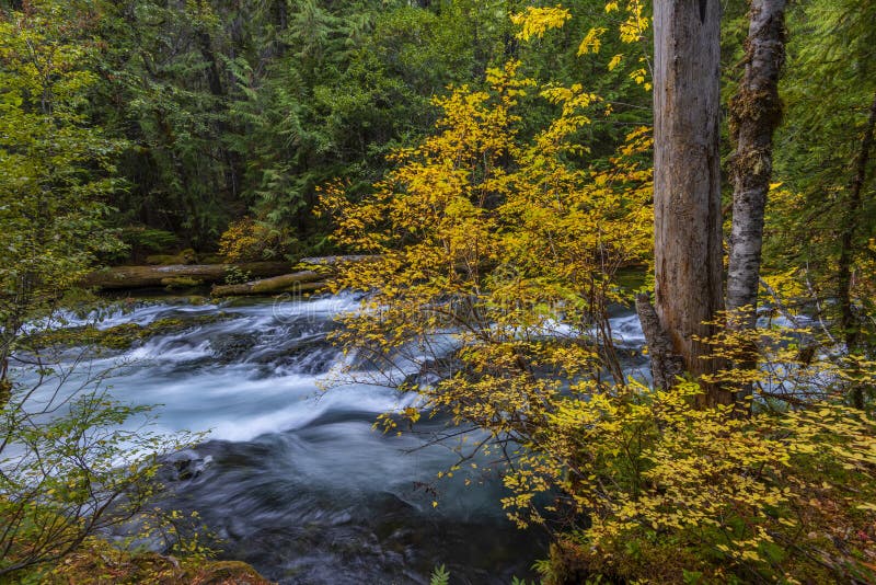 Blue Pool Trail stock image. Image of forest, outdoors - 130352645