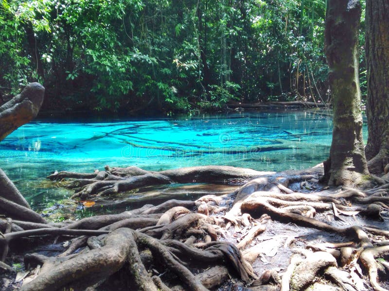 Blue Pool stock image. Image of blue, water, green, pool - 43133459