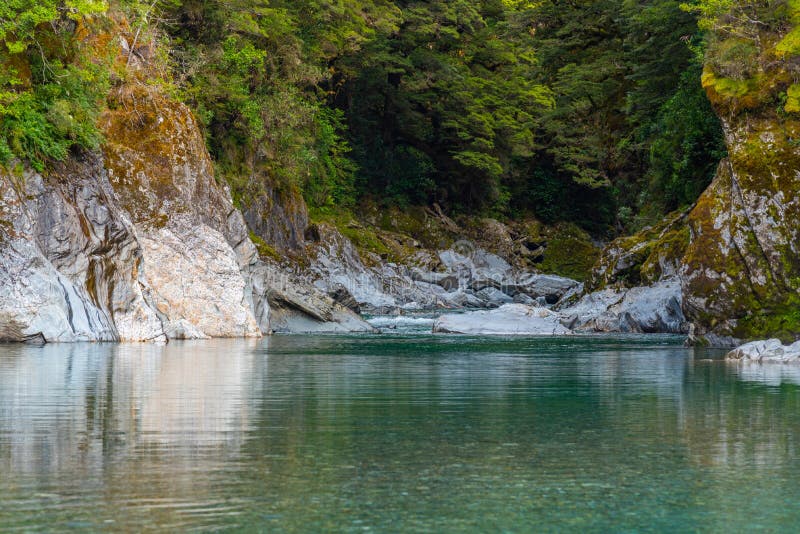 Blue Pools at Blue River in New Zealand Stock Image - Image of park ...