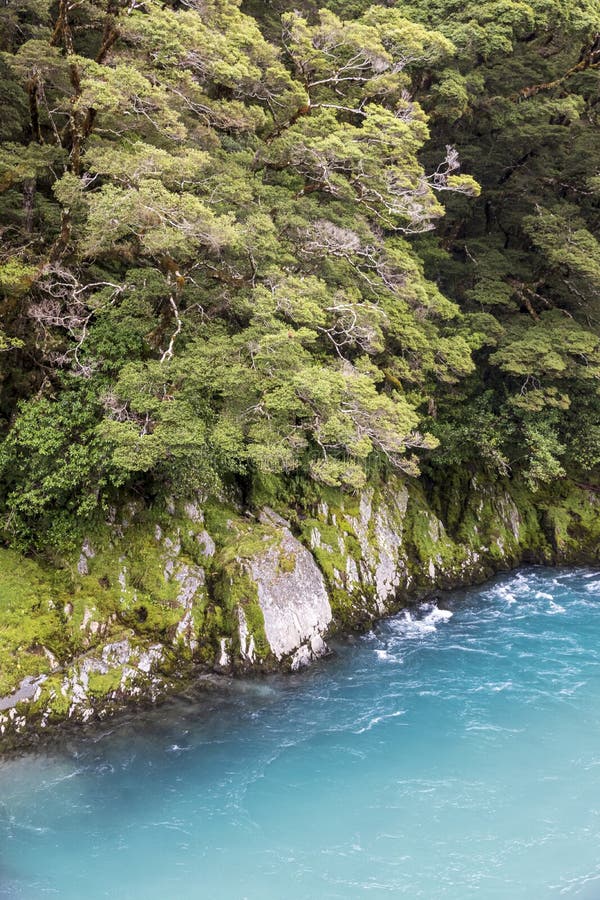 Blue Pools at Wanaka River in New Zealand. Stock Photo - Image of ...