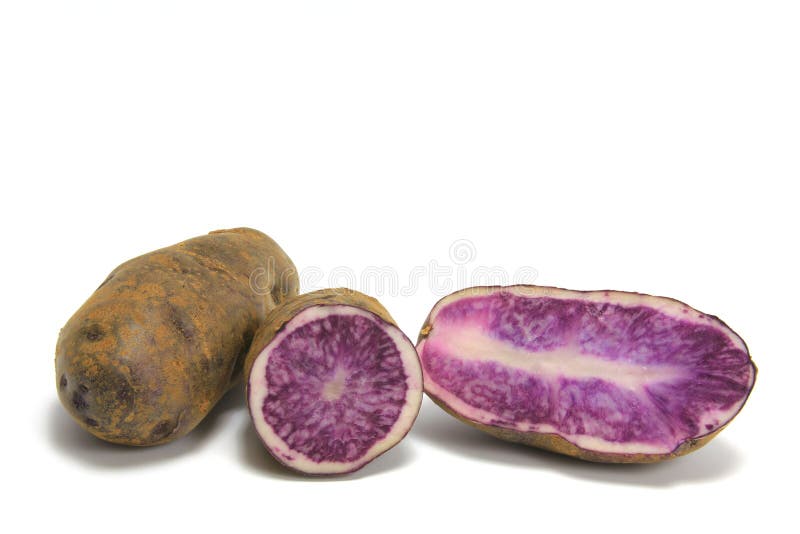 Blue Potatoes stock image. Image of colored, tuber, solanaceae - 28235387