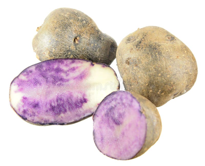 Blue Potatoes Isolated on White Stock Image - Image of ingredient ...