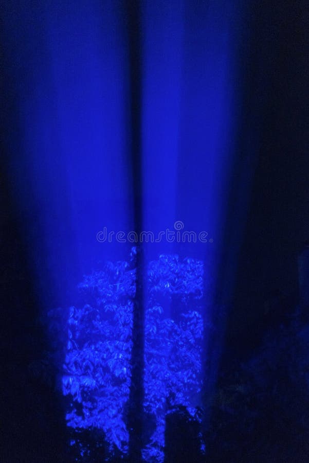 Blue Projector Bright Stadium Arena Lights. Spotlight with Smoke on ...