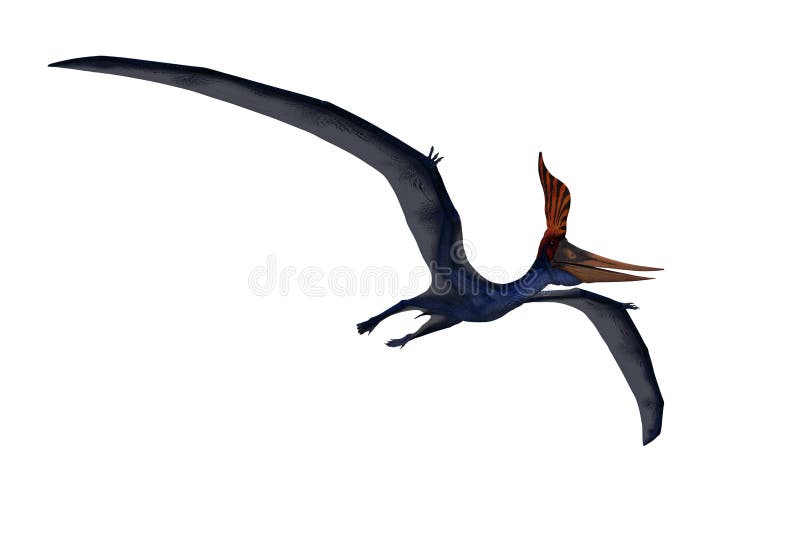 Blue Pteranodon in Flight Viewed from Below. 3D Illustration Isolated ...
