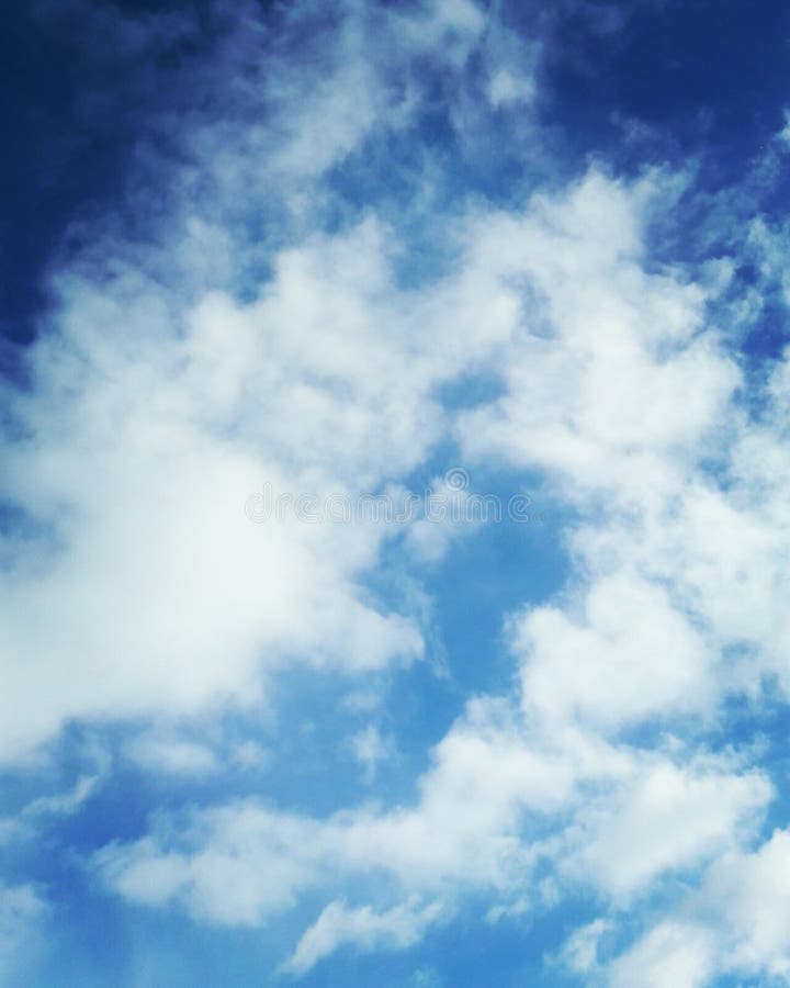 Blue Pure Waters in the Redwoods. Whakarewarewa. Rotorua Stock Image ...