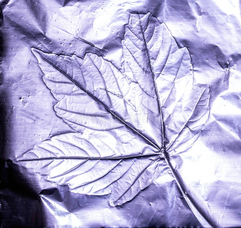Blue Purple Holographic Foil Leaf and Leaves with Veins Texture Shiny Pattern Stock Image ...