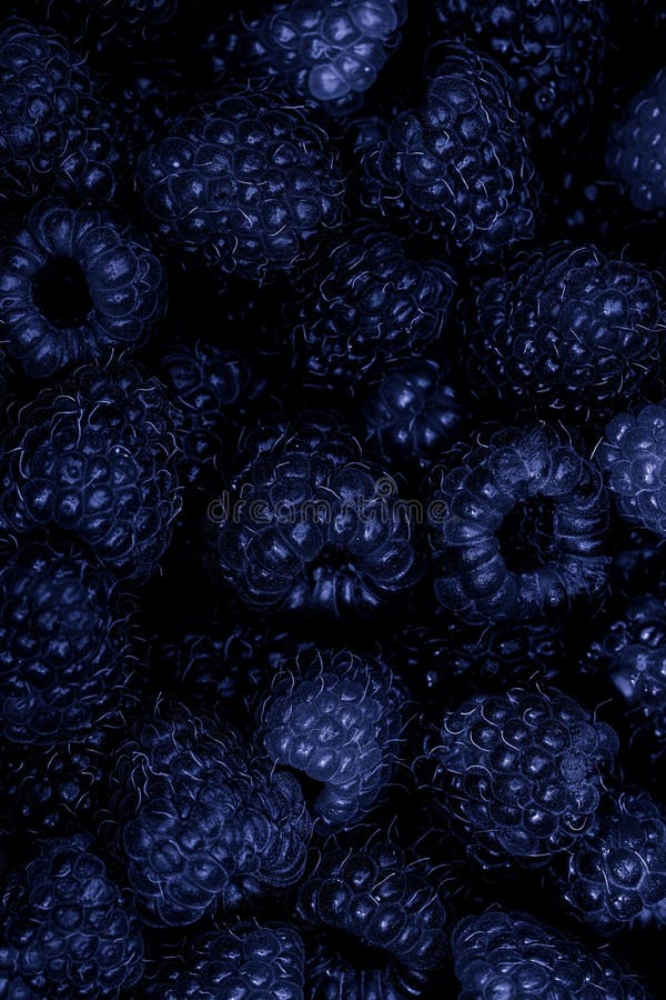 Blue-purple Raspberries Textured Background Stock Photo - Image of ...