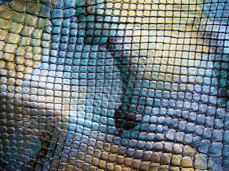 Blue python skin snake. stock photo. Image of textile - 206325364