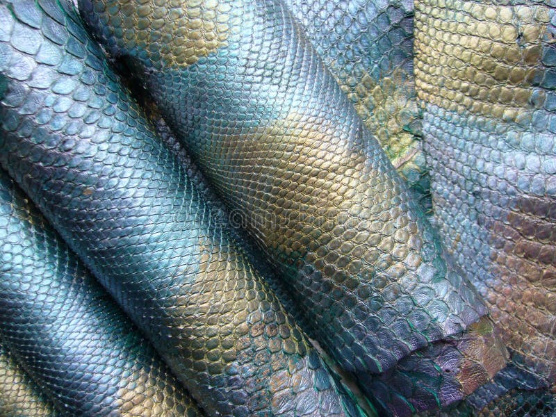 1,088 Blue Python Skin Stock Photos - Free & Royalty-Free Stock Photos ...