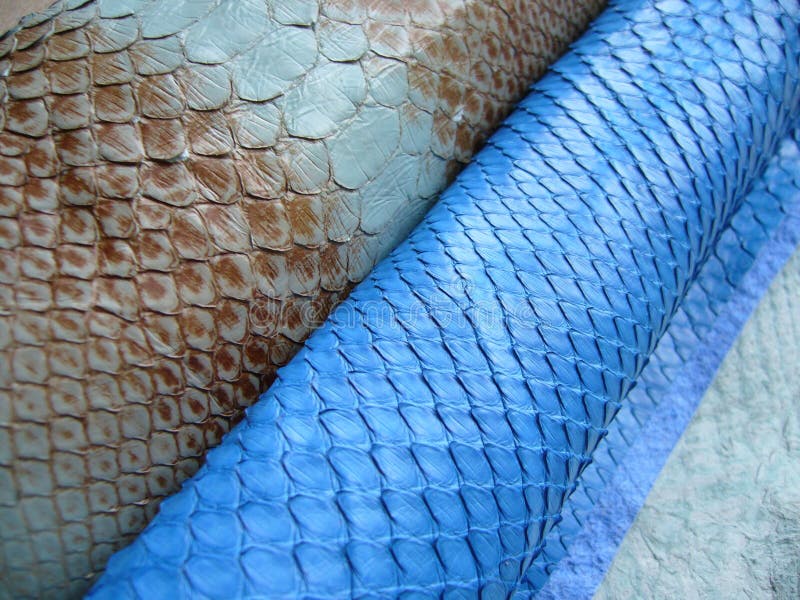 1,088 Blue Python Skin Stock Photos - Free & Royalty-Free Stock Photos ...