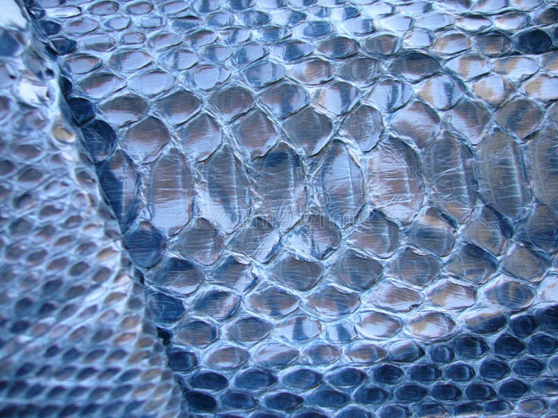 Snakes Drawing Pattern Stock Photos - Free & Royalty-Free Stock Photos ...