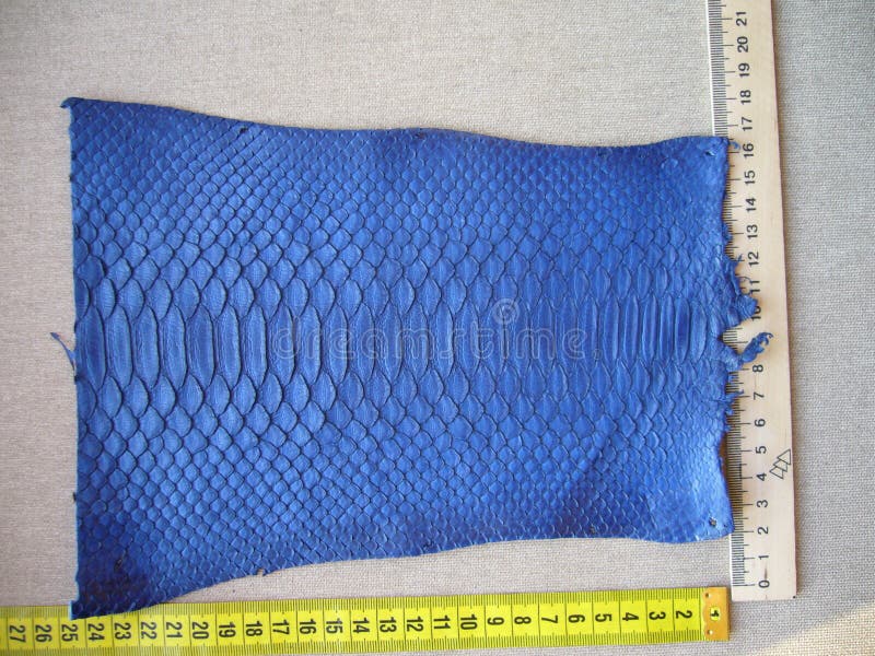 Snakes Drawing Pattern Stock Photos - Free & Royalty-Free Stock Photos ...