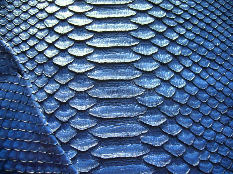 Snakes Drawing Pattern Stock Photos - Free & Royalty-Free Stock Photos ...