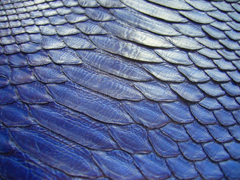 Snakes Drawing Pattern Stock Photos - Free & Royalty-Free Stock Photos ...