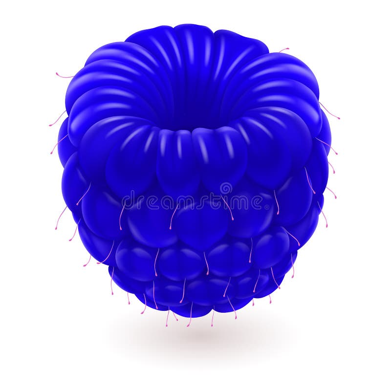 Cartoon Blue Raspberry