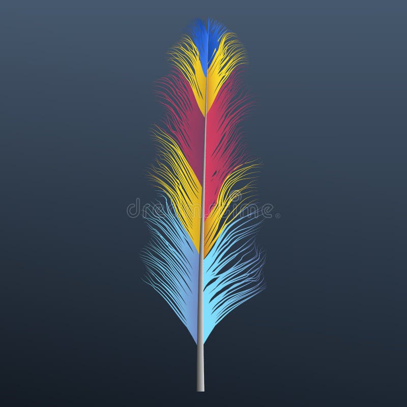Blue Red Yellow Feather Icon, Realistic Style Stock Vector ...