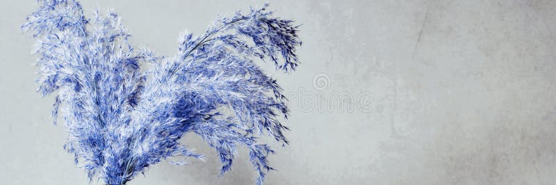 Blue Reeds Vase with 2024 Year Calendar Stock Image - Image of calendar ...