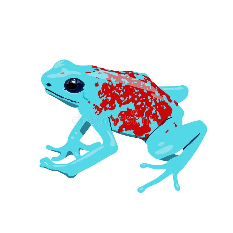 Blue frog. stock vector. Illustration of design, vector - 290183011