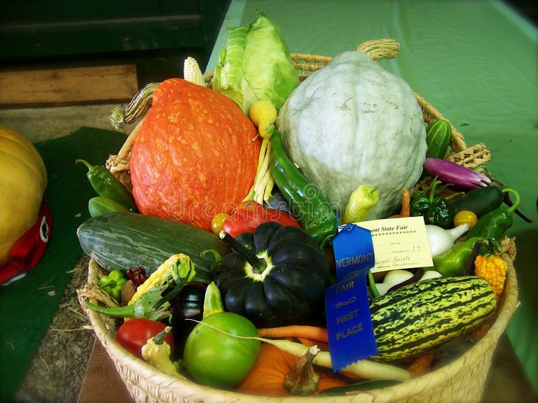 Blue Ribbon winner stock image. Image of edible, grounds - 13864999