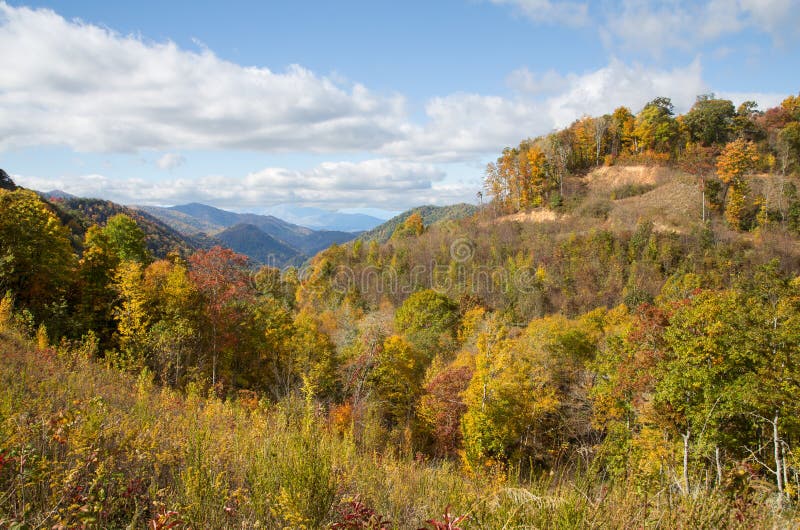 Blue Ridge Colors stock image. Image of fall, colors - 35259917