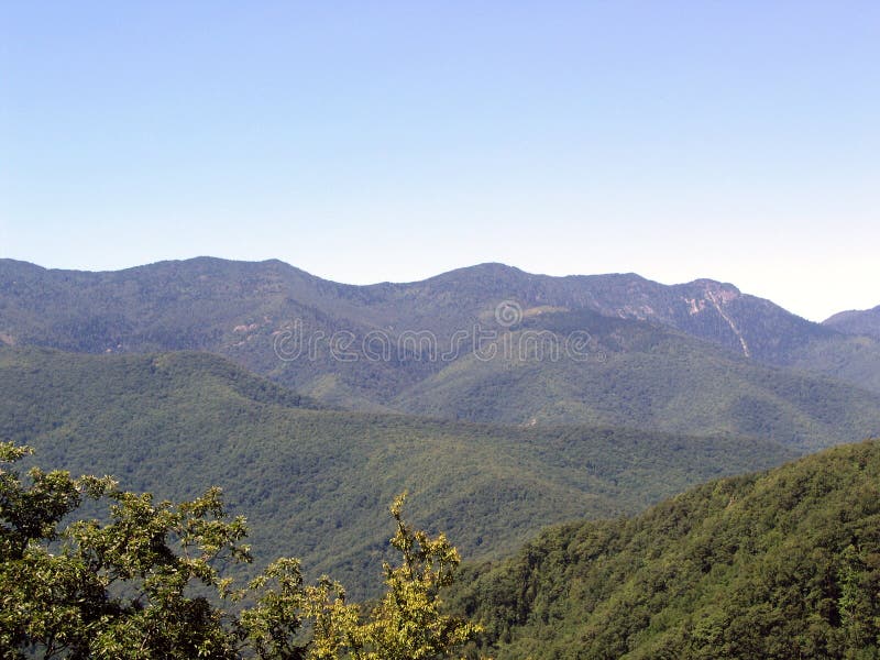 Blue ridge mountains stock image. Image of forest, wilderness - 337575