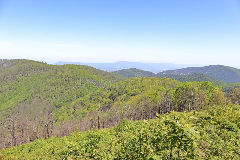 Blue Ridge Mountains stock image. Image of scenery, forest - 141138385