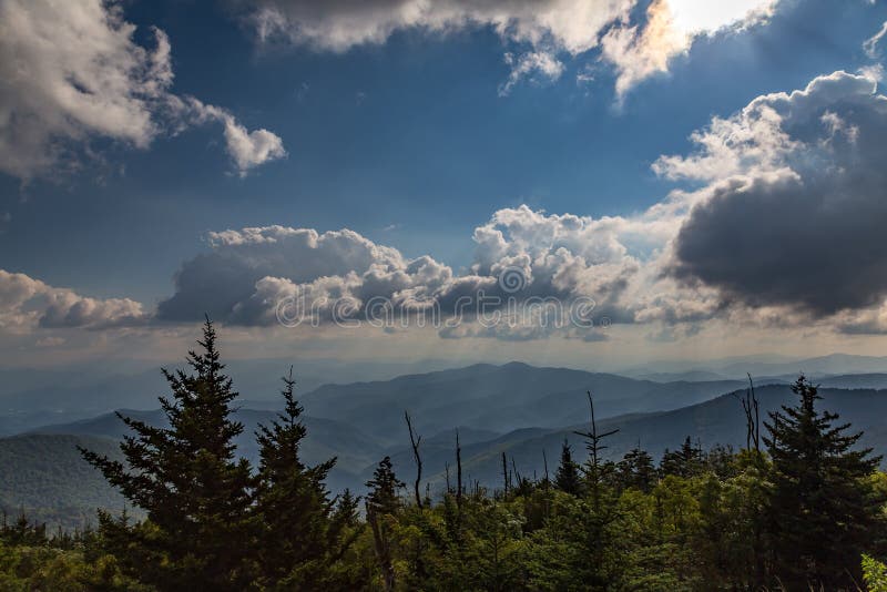 Blue Ridge Mountains stock photo. Image of blooming, flower - 63124822