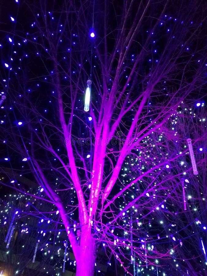 Downtown Asheville Pack Square Stock Photo - Image of square, ridge ...