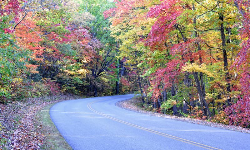 Blue Ridge Parkway Fall Color Stock Image - Image of asheville, forest ...