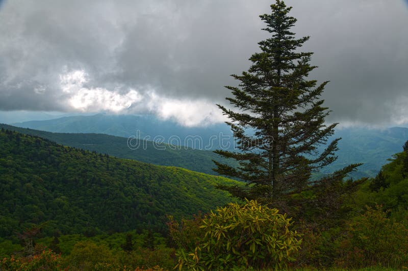 Storm Clouds on the Blue Ridge Parkway Stock Photo - Image of forest ...