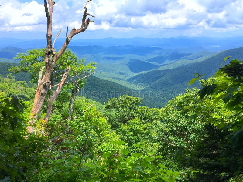 Blue Ridge Parkway view stock image. Image of trees, tree - 97492933