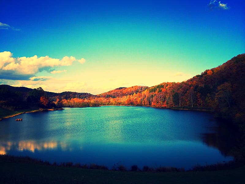 Fnd Trees Stock Photos - Free & Royalty-Free Stock Photos from Dreamstime