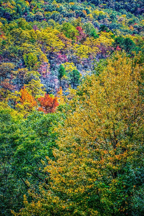 Blue Ridge and Smoky Mountains Changing Color in Fall Stock Image ...