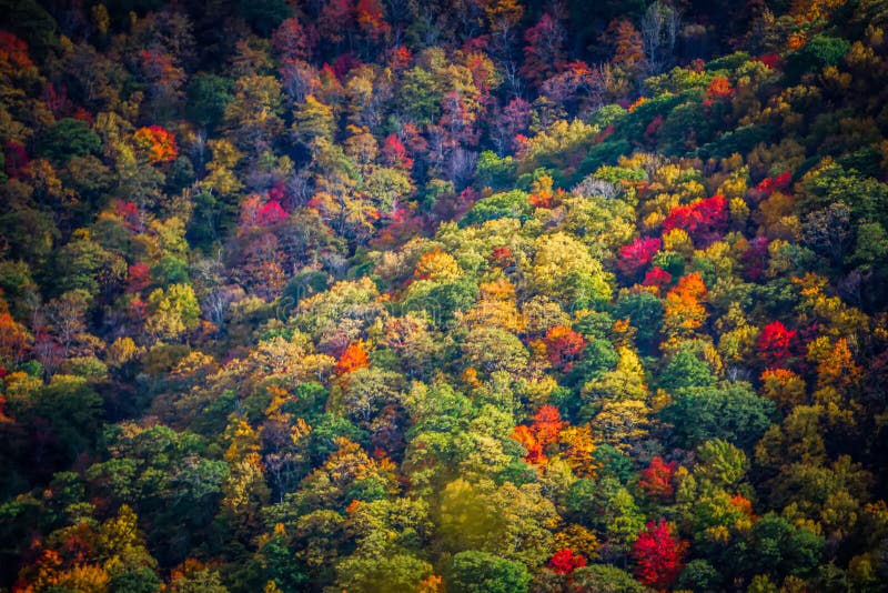 Blue Ridge and Smoky Mountains Changing Color in Fall Stock Image ...