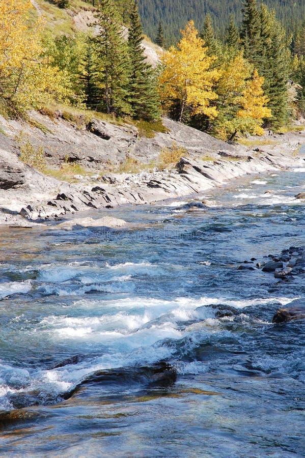 Blue river stock image. Image of larch, island, rain, path - 6922083