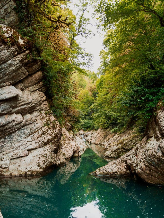 Blue River in Canyon with Rocks and Trees in Summer Stock Photo - Image ...