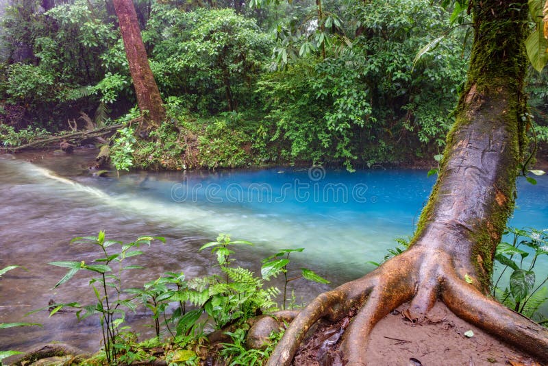 The Start of Blue River in Costa Rica Stock Image - Image of beauty ...