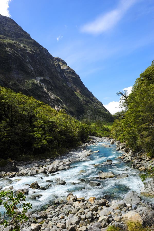 Blue River Flowing in New Zealand Stock Image - Image of zealand ...