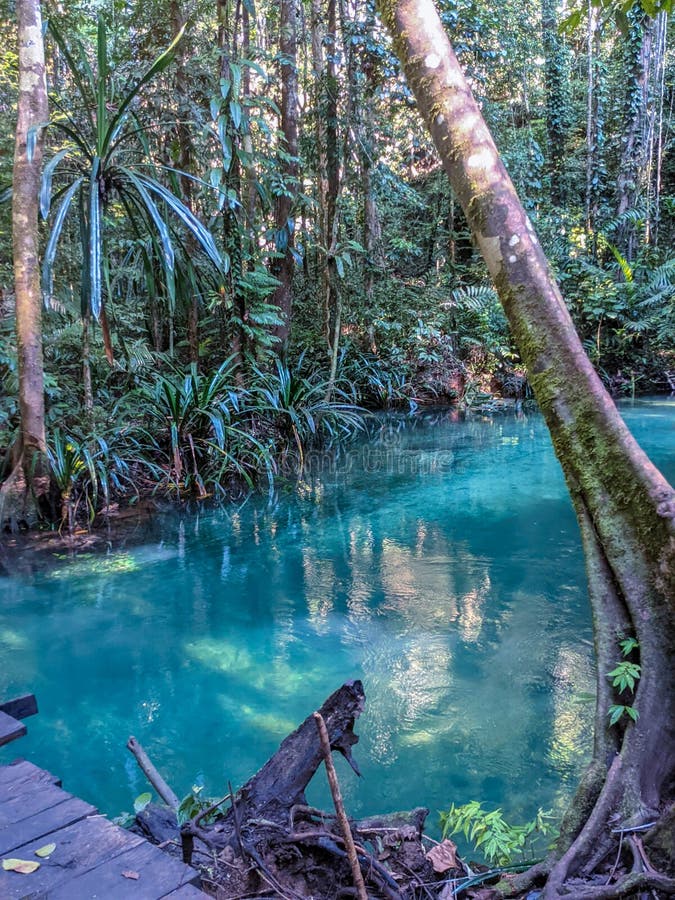 Blue river raja ampat stock photo. Image of river, indonesia - 394141050