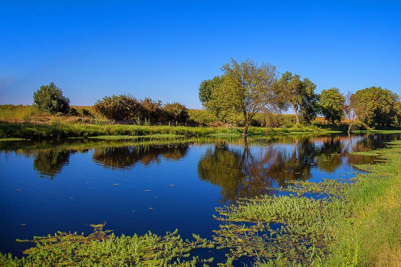Blue River Scene on a Beautiful Day Stock Photo - Image of outdoor ...