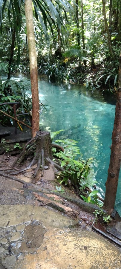 Blue river stock image. Image of papua, nature, indonesian - 288936351