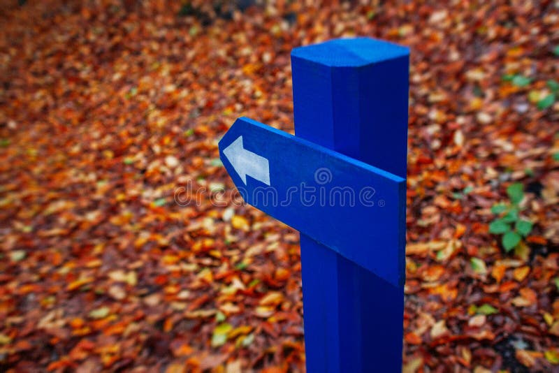 Blue Road Sign Arrow in the Autumn Forest Stock Photo - Image of nature ...